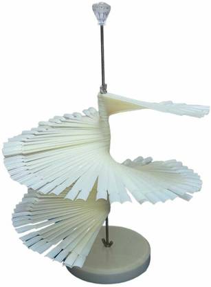 KISANPATEL DP STAND - Price in India, Buy KISANPATEL DP STAND Online In India, Reviews, Ratings ...