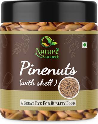 NATURE CONNECT Lebanon Chilgoza Pine Nuts With Shell | Jar Pack Pine ...
