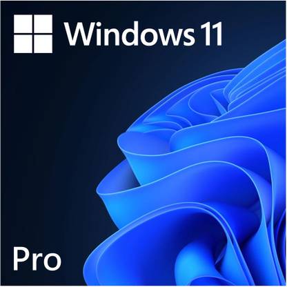 MICROSOFT Windows 11 Pro (1 User, Lifetime License) Activation Key Card ...