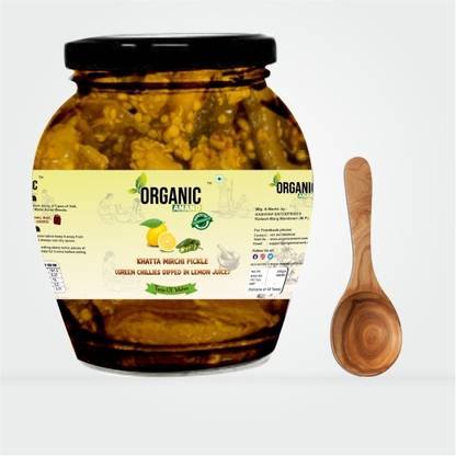 Organic Anand Khatta Mirchi Green Chillies Dipped in Lemon Juice Matka ...