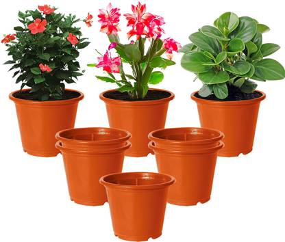 KUBER INDUSTRIES Plastic Planters|Gamla|Flower Pots ,8"x6",Pack of 8 ...