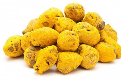 Forestree Kudamanjal, Round turmeric, Unda manjal, Poosu manjal Seed ...