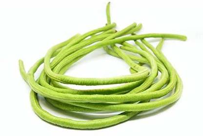 KANAYA Indian Vegetable Beans Singra Hybrid Seed Price in India - Buy ...