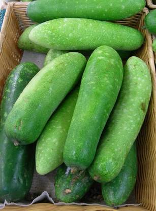 WHYGI Heirloom Jointed Gourd-Hairy Melon Seeds(Mokwa Long)-CuC_1825 ...