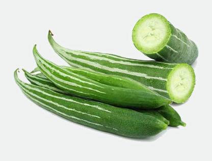 WILLVINE LX-50 Snake gourd ( King Cobra )Seeds Seed Price in India ...