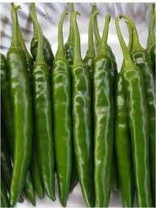 greenfarm Chilli Seeds Pure Organic chilli Mirchi Seeds (400 seeds ...