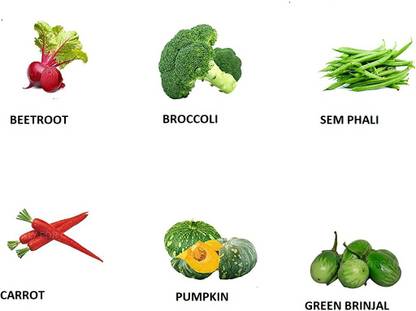 MKR Enteprises Beetroot, Broccli, SemPhali, Carrot, Pupmkin, Green ...