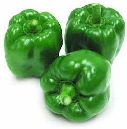 JRYU Shimla Mirch F1 Hybrid Vegetable Seed Price in India - Buy JRYU ...
