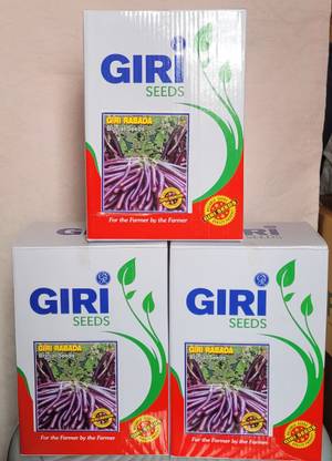 Giri BRINJAL Seed Price in India - Buy Giri BRINJAL Seed online at ...