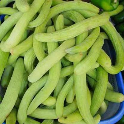 KANAYA Armenian Cucumber Kakdi , Kakri Seed Price in India - Buy KANAYA ...