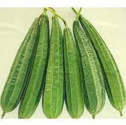 KANAYA Dhari Tori Seed Price in India - Buy KANAYA Dhari Tori Seed ...