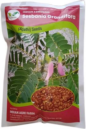 IAgriFarm Sesbania / Agathi/Humming Bird Tree Seed - 100 gram for ...