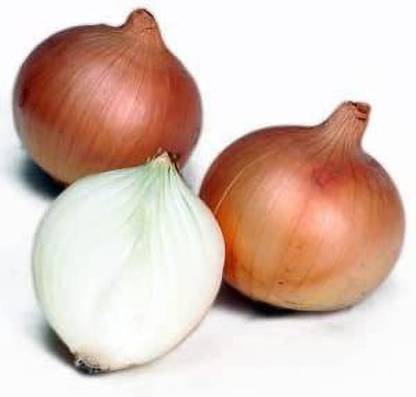 VibeX ® VMR-449 Sweet Yellow Spanish Onion Allium Cepa Seed Price in ...