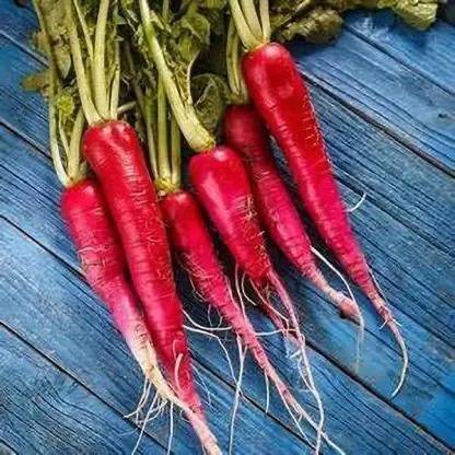 MAA Radish Red, Muli Seed Price in India - Buy MAA Radish Red, Muli ...