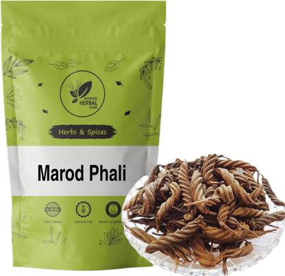 ayurved herbal care Marod Phali - Marori - Helicteres Isora - Avaitini ...