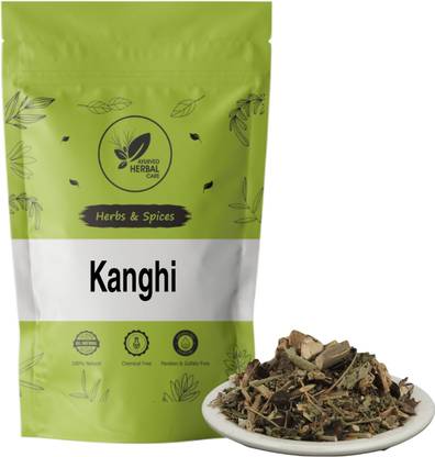 ayurved herbal care Kanghi - Atibala - Mahabala - Abutilon indicum ...