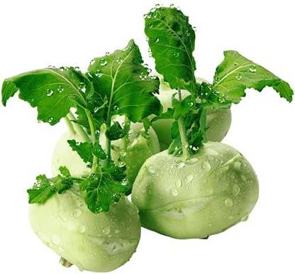 KANAYA Knol-Khol Vegetable Hybrid Quality Seed Price in India - Buy ...