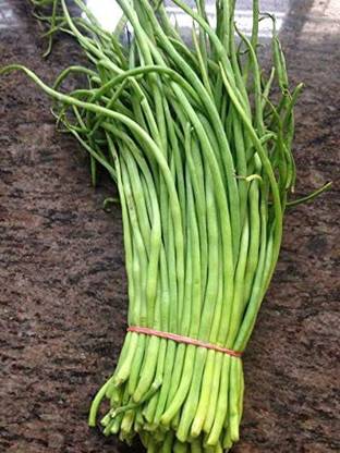 KANAYA Indian Vegetable Beans Singra Hybrid Seed Price in India - Buy ...