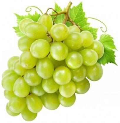 Oliver GRAPE FRUIT SEED Seed Price in India - Buy Oliver GRAPE FRUIT ...