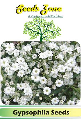 Seeds Zone Gypsophila Seed Price in India - Buy Seeds Zone Gypsophila ...