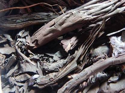 Urancia Natural Dried Ratanjot Alkanet root Alkanna Tinctoria Onosma ...