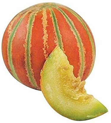 WILLVINE NDIR-52 Musk Melon Kajri F1 Hybrid Imported Seeds Seed Price ...