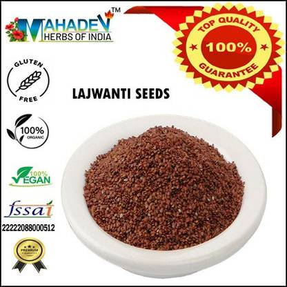 mahadev herbs of india LAJWANTI SEEDS - LAJVANTI BEEJ - CHUI MUI ...