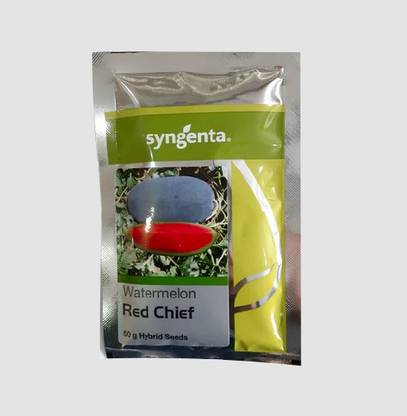 TRICONE SYNGENTA Hybrid Watermelon Red Chief 50GRAM Seeds Seed Price in ...