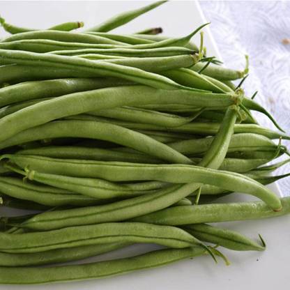CYBEXIS Hybrid French Beans Seeds 800 Seeds Seed Price in India - Buy ...