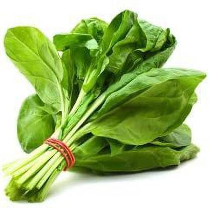 KANAYA Cholai Saag Seed Price in India - Buy KANAYA Cholai Saag Seed ...