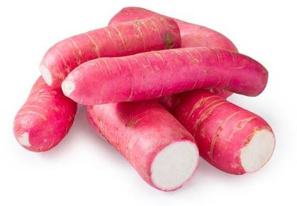 Mozette Red Radish Seed Price in India - Buy Mozette Red Radish Seed ...