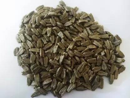 MAA Bottle Gourd round, Kaddu, Lauki Seed Price in India - Buy MAA ...