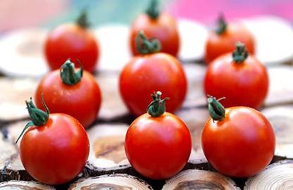 KANAYA Tamatar Seed Price in India - Buy KANAYA Tamatar Seed online at ...