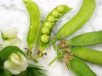 MYLAWN Green Matar Peas Seed Price in India - Buy MYLAWN Green Matar ...