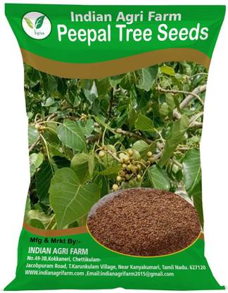 IAgriFarm Peepal Tree Seed - 1kg / Ficus Religiosa / Arasamaram Tree ...