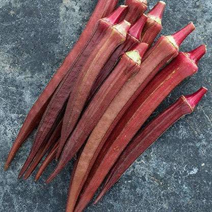 WILLVINE PAU-734 Bhendi Red (Red Ladies Finger/Red Okra) -1500 Seeds ...