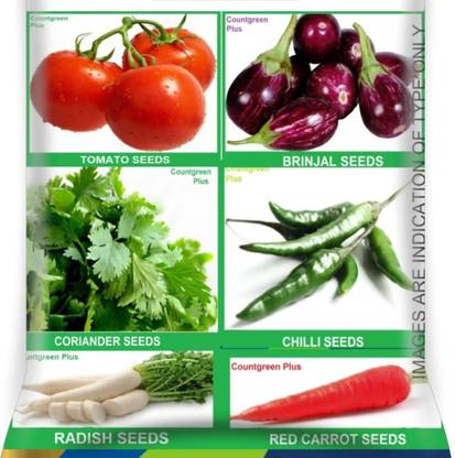 Prefect Vegetable Seeds (Hybrid/Organic) Combo 6 Varieties Garden Pack ...