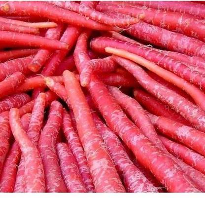 RUDAN Organic Red Carrot (गाजर के बीज) Seed Price in India - Buy RUDAN ...