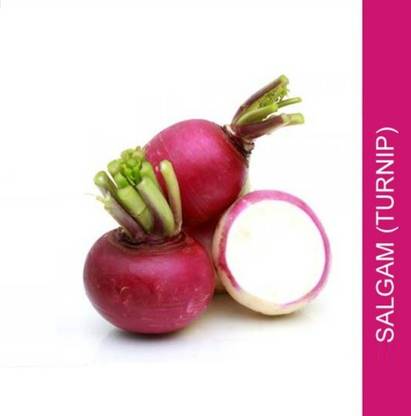 MYLAWN Turnip shalgam Seed Price in India - Buy MYLAWN Turnip shalgam ...