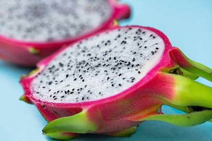Oliver DRAGON FRUIT SEED Seed Price in India - Buy Oliver DRAGON FRUIT ...