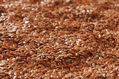 ANDARISTORE Flax Seeds - Alsi Seeds | Flax Seeds for Hair Growth | Diet ...