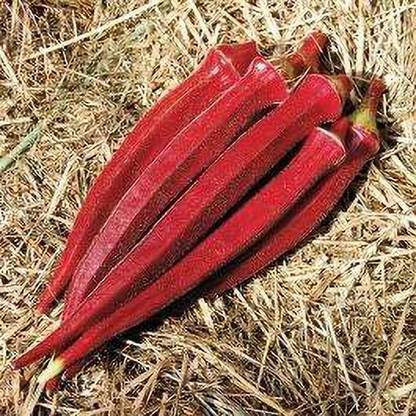 KANAYA Lal Bhindi Red Okra Lady Finger Vegetable Seed Price in India ...