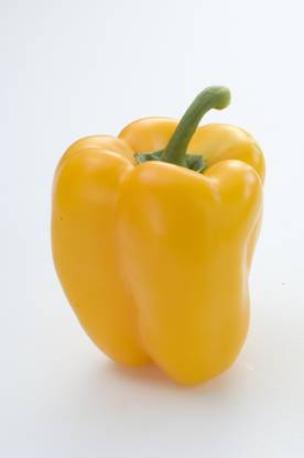 VASUDHA Organic Yellow Capsicum Seed Price in India - Buy VASUDHA ...