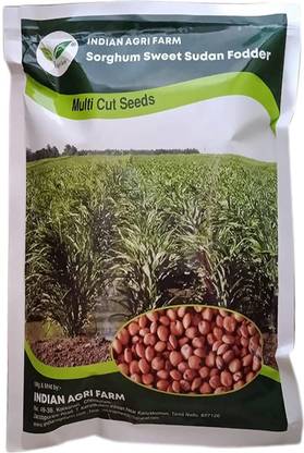 IAgriFarm Sorghum Sudan Grass Fodder Seeds - 1 Kg - Multi Cut Fodder Seeds Seed Price in India ...