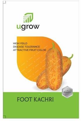 agri max gardens f1 hybrid foot kachri seeds, for home garden, plants ...