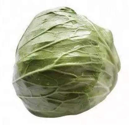 MYLAWN Round Shape Green Ball Style Cabbage Seed Price in India - Buy ...