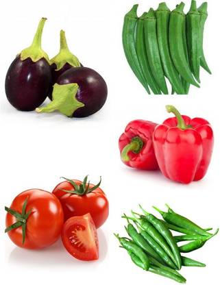 SeedsSunrise Pack of 5 Vegetables Seeds - Brinjal, Lady Finger, Capsicum, Tomato, Chilli Seed ...