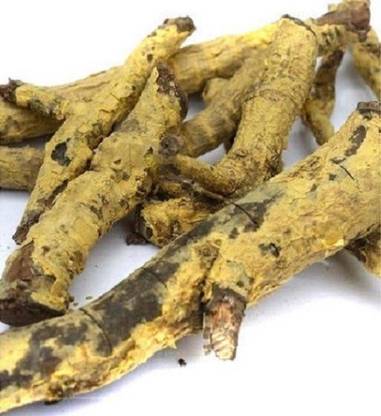 plantsworld Saptarangi, Salacia chinensis, Ponkoranti പൊൻകൊരണ്ടി ...