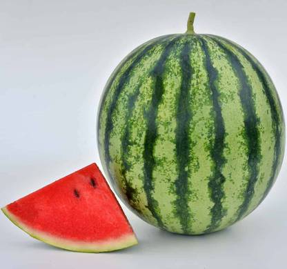 TRICONE King Watermelon Tarbuj Tarbooj summer fruit 250 Beej Garden ...