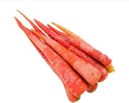 RUDAN Red Carrot(गाजर के बीज) Seed Price in India - Buy RUDAN Red ...
